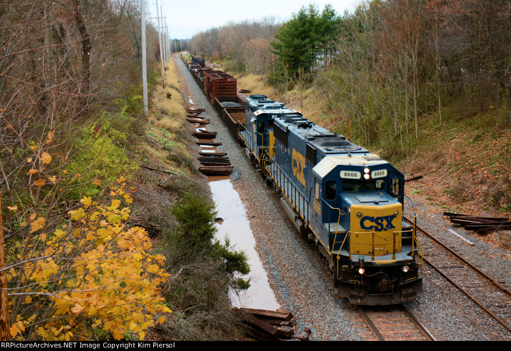 CSX 8666 2010 W064